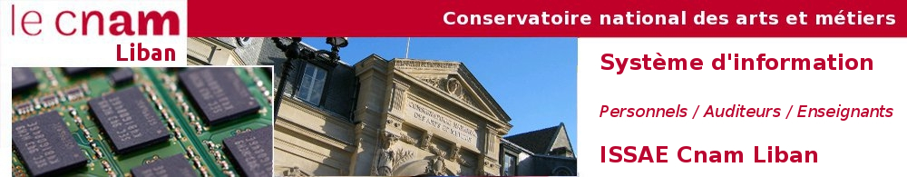 ISSAE Cnam liban : Environnement numérique et Système d'information